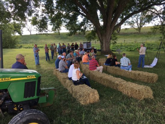 Forage Management: Questions Keep Coming | UT Beef & Forage Center