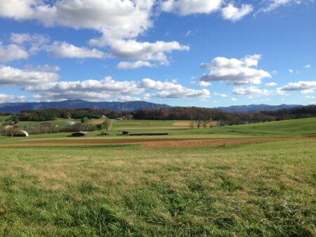 Cattle Economics: Pasture Rental Rates | UT Beef & Forage Center