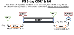 Cattle Reproduction: Using Pre-synchronization to Improve Fixed-time AI ...