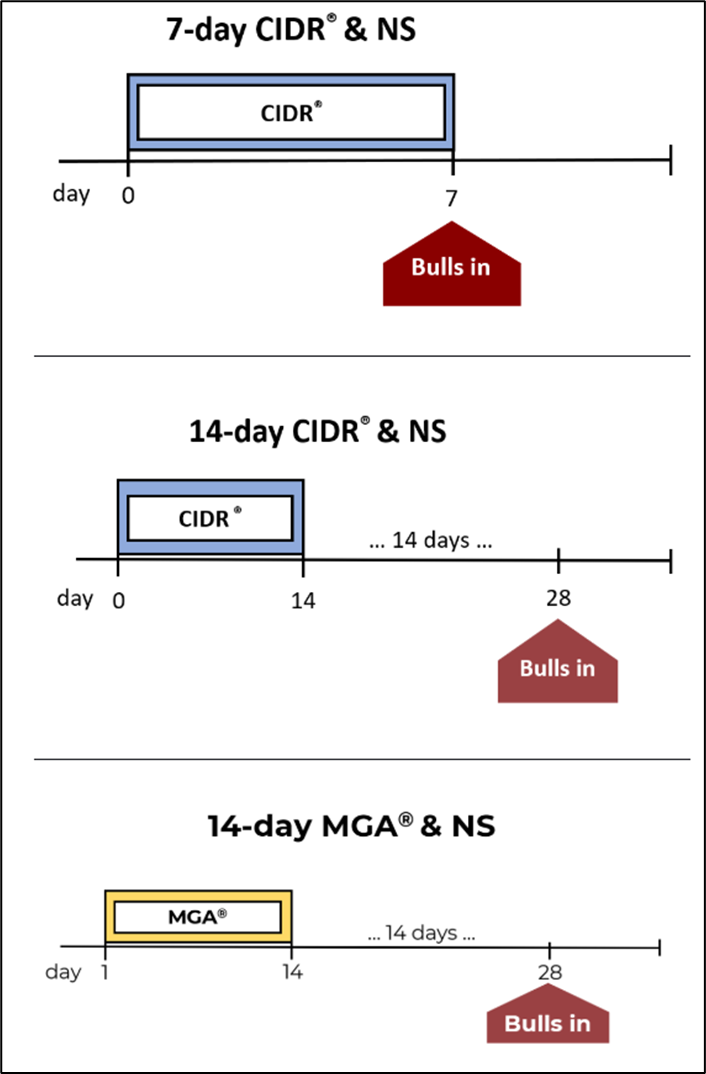 Cattle Reproduction: Improving Herd Reproductive Efficiency with ...